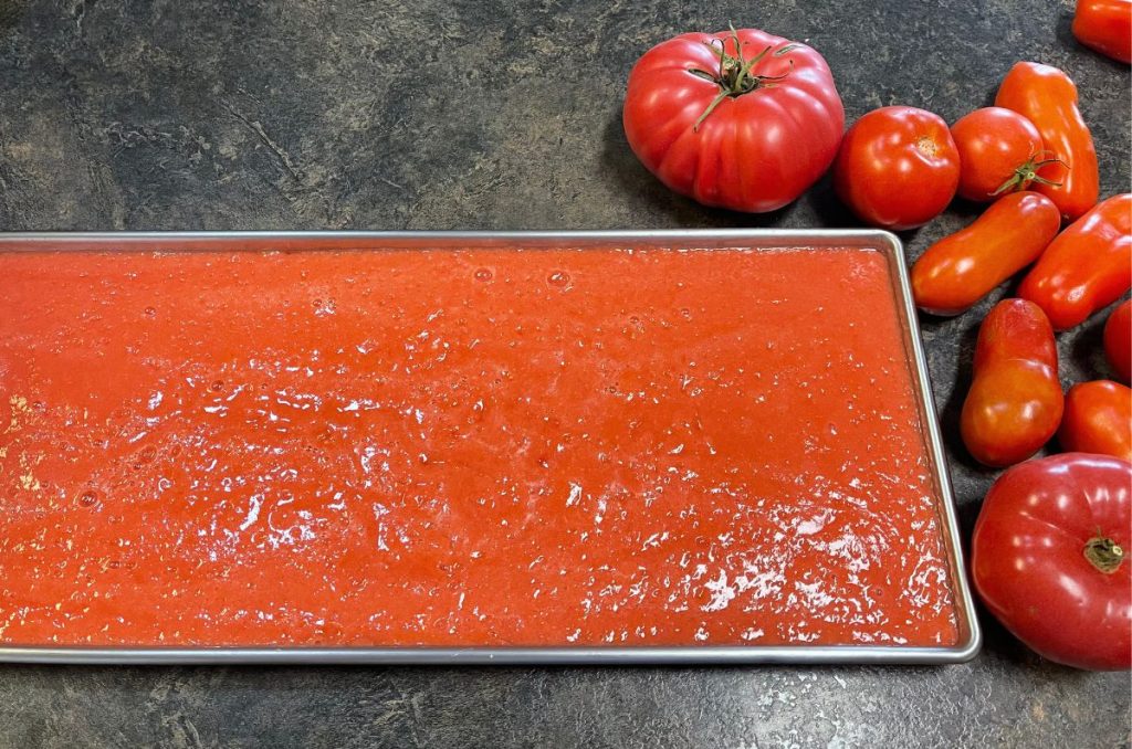 How to Freeze Dry Tomatoes - Aunt Niki's Farm